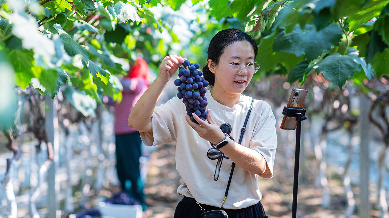 533 词 · 简单 考研 六级